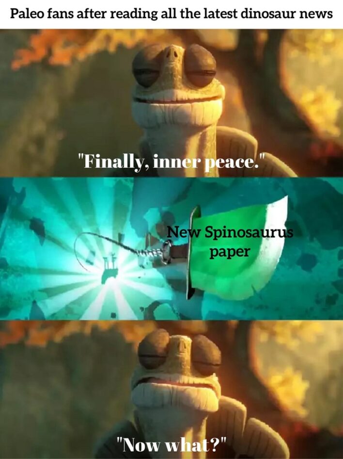 40 Prehistoric Memes For Lovers Of Dinosaurs, Early Hominids, And ...