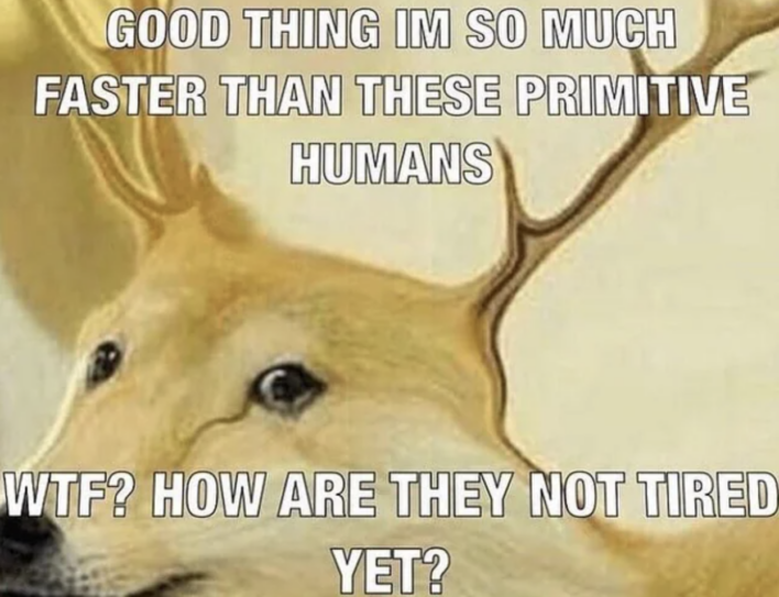 40 Prehistoric Memes For Lovers Of Dinosaurs, Early Hominids, And ...