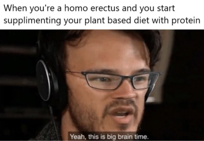 40 Prehistoric Memes For Lovers Of Dinosaurs, Early Hominids, And ...