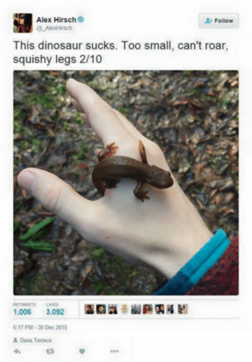 40 Prehistoric Memes For Lovers Of Dinosaurs, Early Hominids, And ...