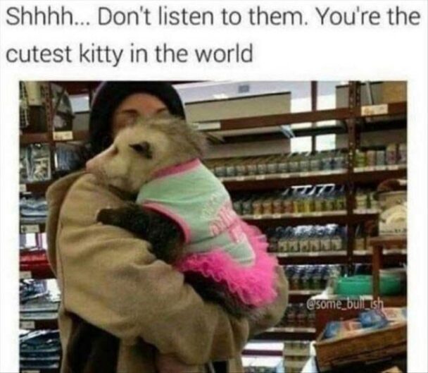 40 Random Funny Memes Even The Chronically Online Probably Haven't Seen ...