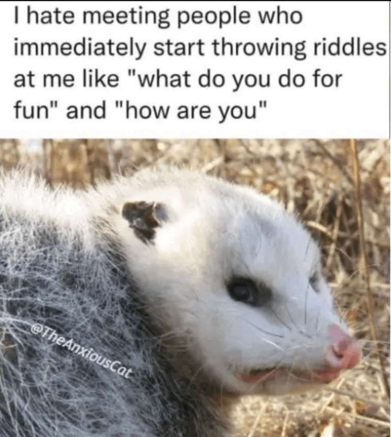 40 Random Funny Memes Even The Chronically Online Probably Haven't Seen ...