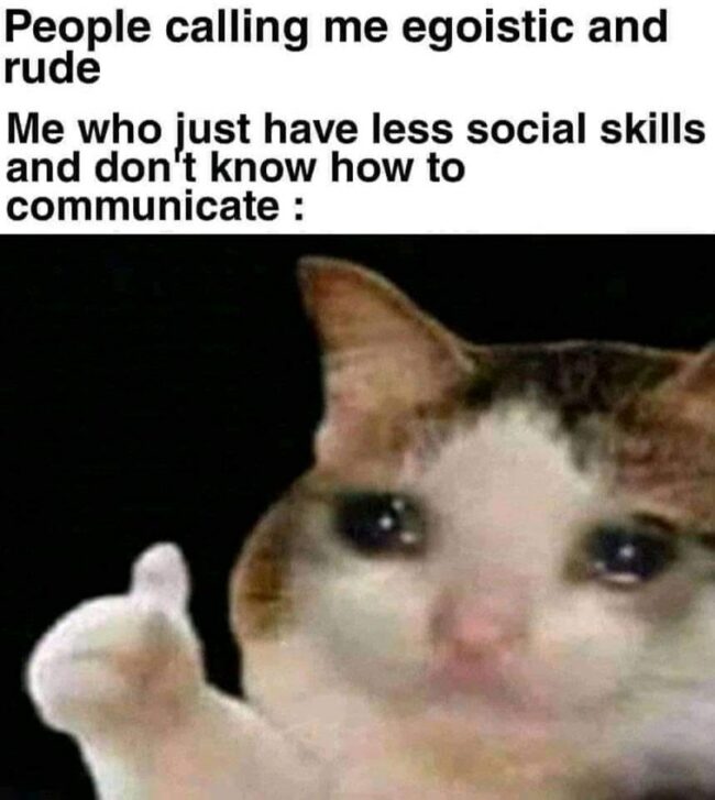 30 Relatable Memes For Awkward People Whose Social Skills Could Use ...