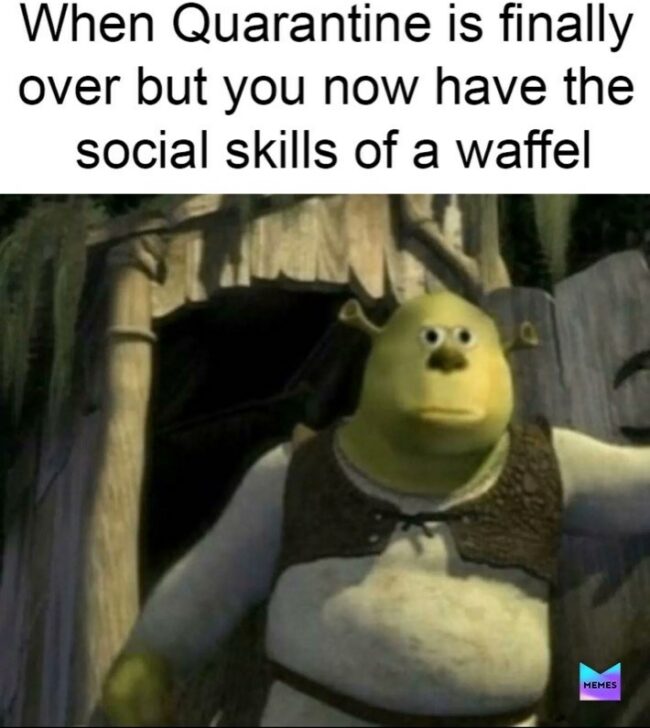 30 Relatable Memes For Awkward People Whose Social Skills Could Use ...