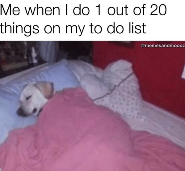 20 Relaxed Memes For Those Of Us Lazy Folks Who Live To Chill
