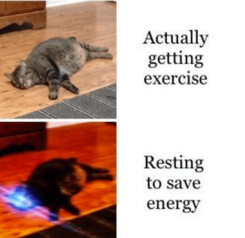 20 Relaxed Memes For Those Of Us Lazy Folks Who Live To Chill
