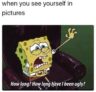 50 Classic Funny Spongebob Memes That Literally Everyone Will Relate To ...