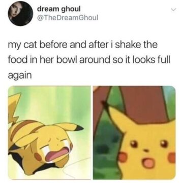 40 Midweek Cat Memes To Keep You Smiling Until Caturday