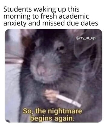 40 College Memes Current And Former Students Will Relate To This Semester