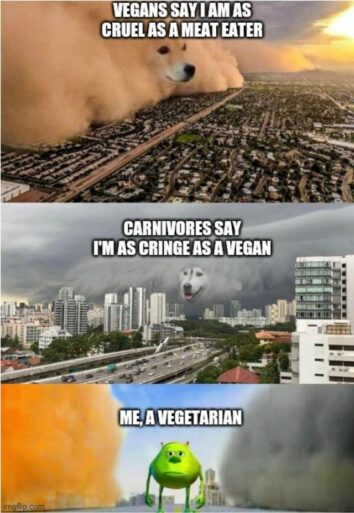 40 Vegetarian And Vegan Memes For Those Who Shall Remain Meatless