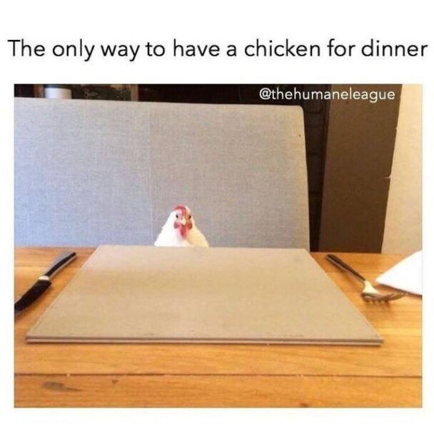 40 Vegetarian And Vegan Memes For Those Who Shall Remain Meatless