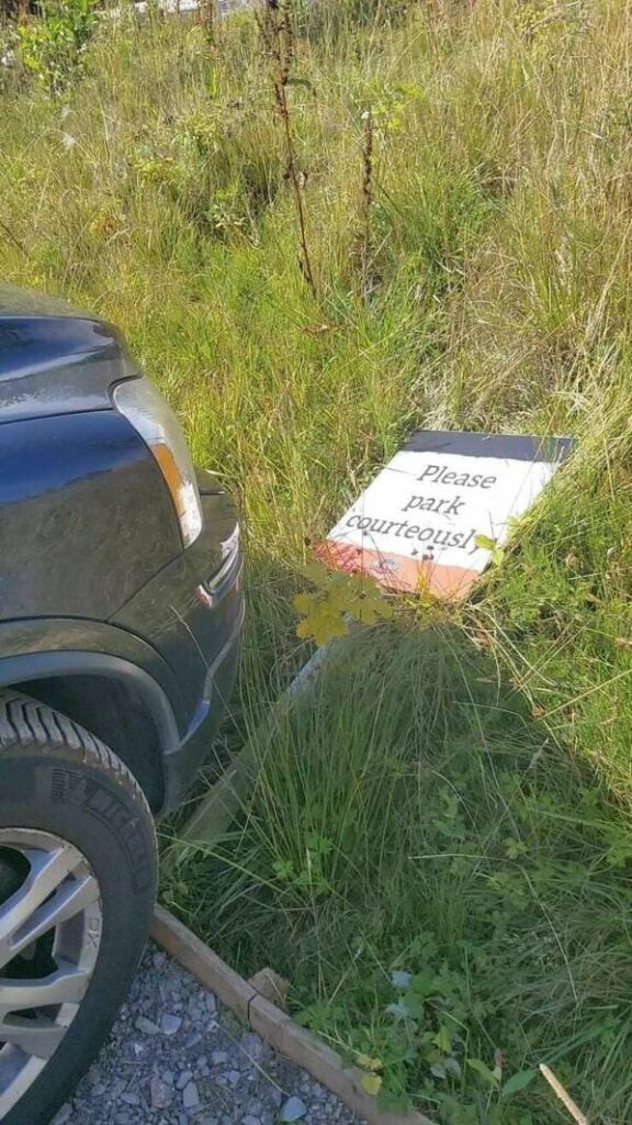 35 Totally Random Pics That Will Make You Laugh, Think, And Double-Take ...