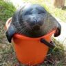 35 Funny And/Or Random Pictures For A Leisurely Stroll This Afternoon