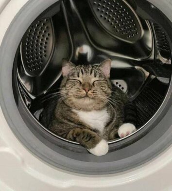 35 Funny And/Or Random Pictures For A Leisurely Stroll This Afternoon