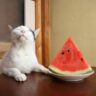 35 Funny And/Or Random Pictures For A Leisurely Stroll This Afternoon