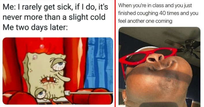 30 Funny Common Cold Memes That Are Like Rubber Chicken Soup For The Soul