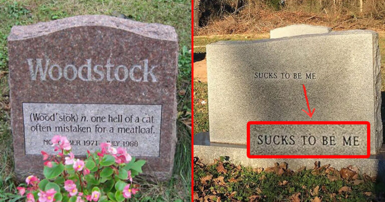 40 Funny Epitaphs From Hilarious People Who Went Out On A Laugh