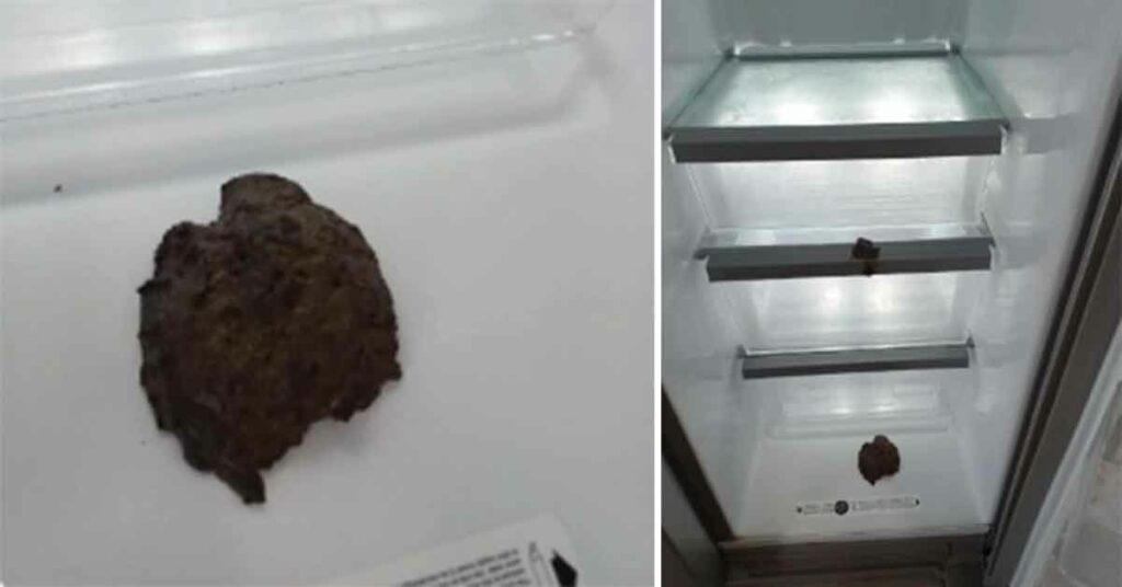 Airbnb Host Finds Frozen Poop In His Fridge After Seemingly Normal ...
