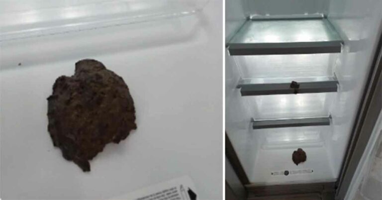 Airbnb Host Finds Frozen Poop In His Fridge After Seemingly Normal ...