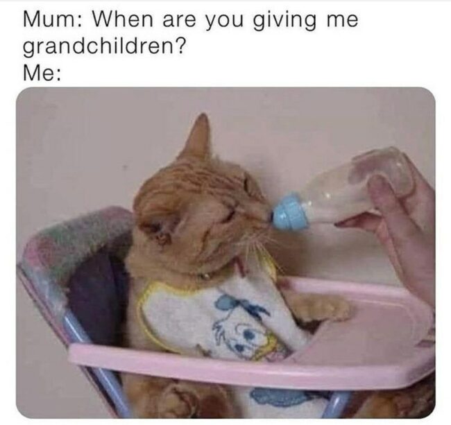40 Funny Animal Memes Because Let's Be Honest, We Could All Use A Break ...