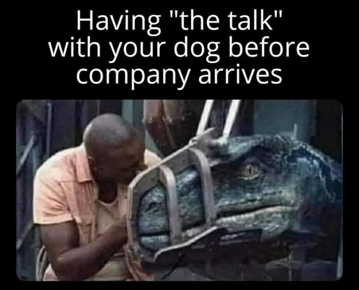 40 Funny Animal Memes Because Let's Be Honest, We Could All Use A Break ...