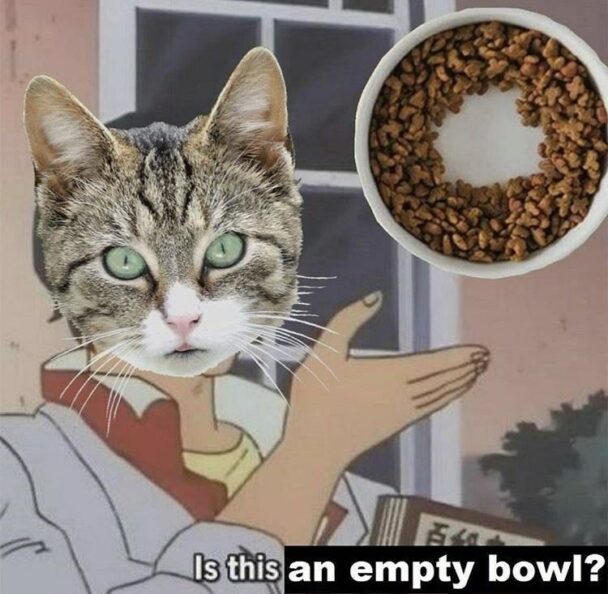 40 Funny Animal Memes Because Let's Be Honest, We Could All Use A Break ...