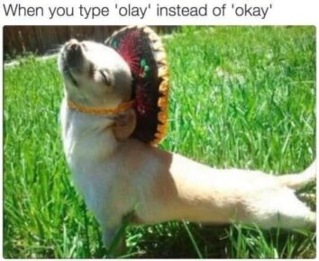 40 Pawsitively Hilarious And Wholesome Dog Memes To Brighten Your Day ...