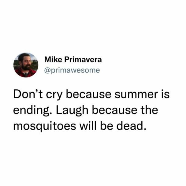 30+ Hilarious End Of Summer Memes For People Who Are Ready To Be Done ...
