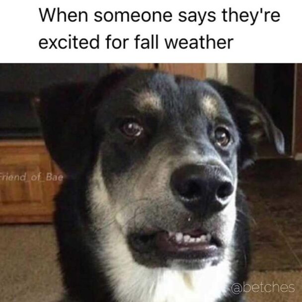 30+ Hilarious End Of Summer Memes For People Who Are Ready To Be Done ...