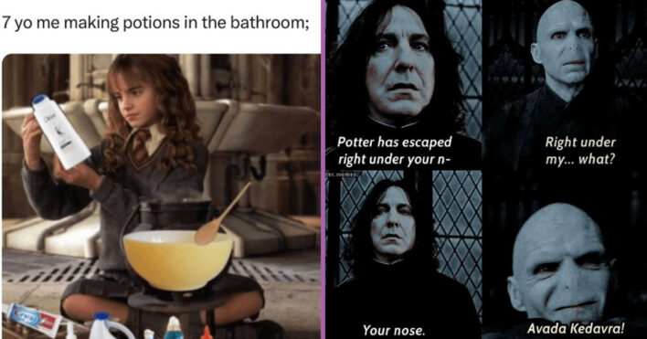40 Magical Harry Potter Memes That'll Make You Say "Accio Laughter ...