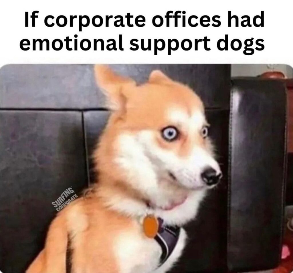 40+ Hilariously Relatable Work Memes That Will Make HR Cringe But You ...