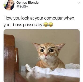 37 Funny Work Memes From The Millennial And Gen Z Job Humor Account ...