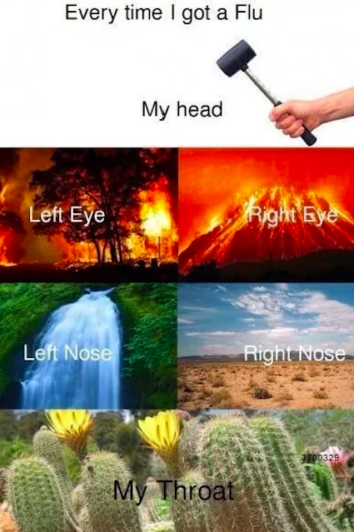 30 Funny Common Cold Memes That Are Like Rubber Chicken Soup For The Soul