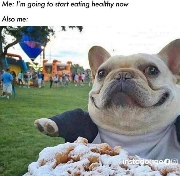 40+ Funny Dog Memes That'll Have Tails-A-Waggin' (September 29, 2023)