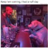 40+ Funny Dog Memes That'll Have Tails-A-Waggin' (September 29, 2023)
