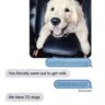 40+ Funny Dog Memes That'll Have Tails-A-Waggin' (September 29, 2023)