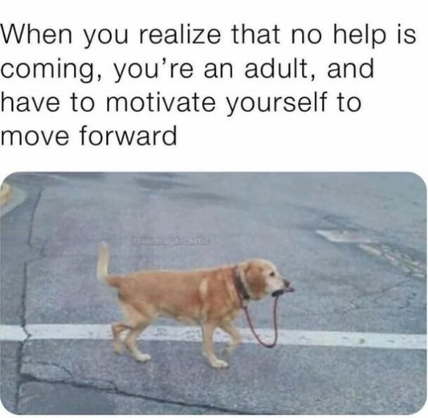 40+ Funny Dog Memes That'll Have Tails-A-Waggin' (September 29, 2023)