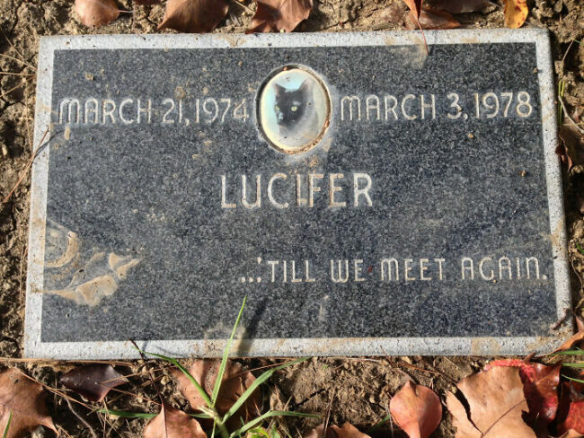 40 Funny Epitaphs From Hilarious People Who Went Out On A Laugh
