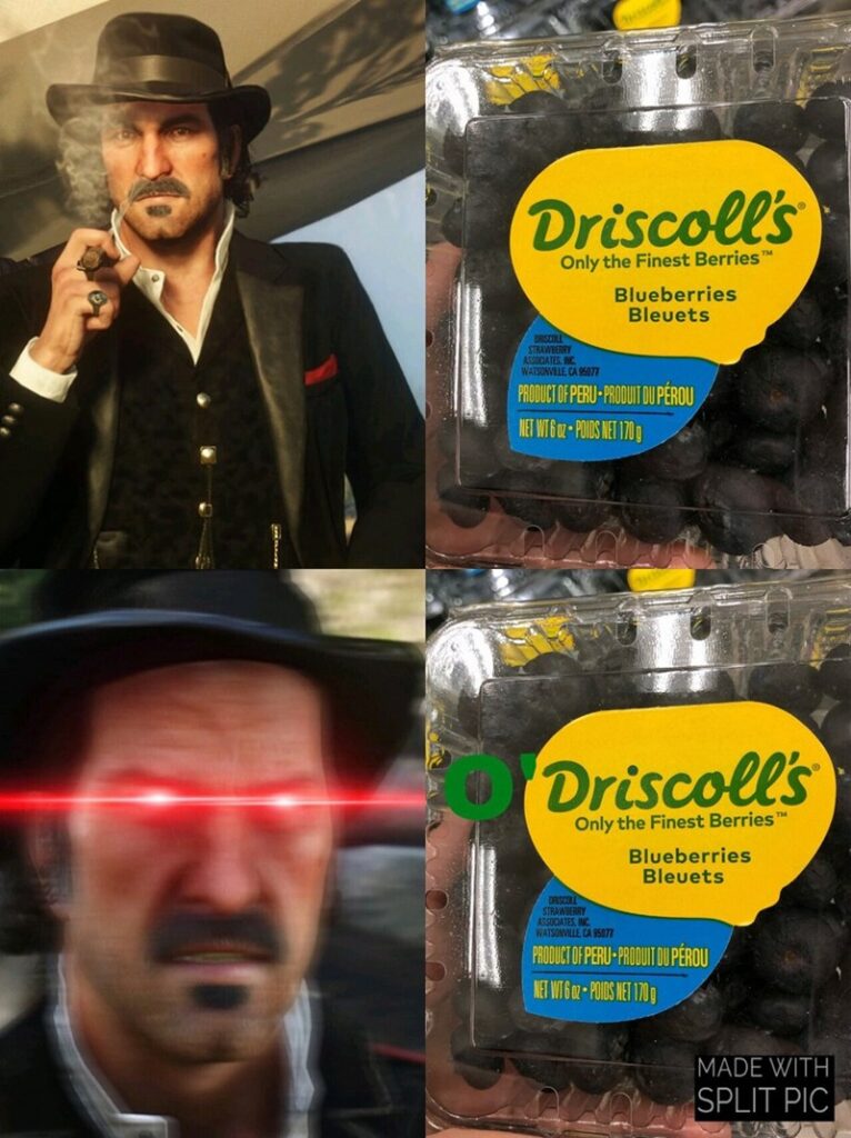 35 Funny Red Dead Redemption 2 Memes For Everyone Who Named Their Horse ...