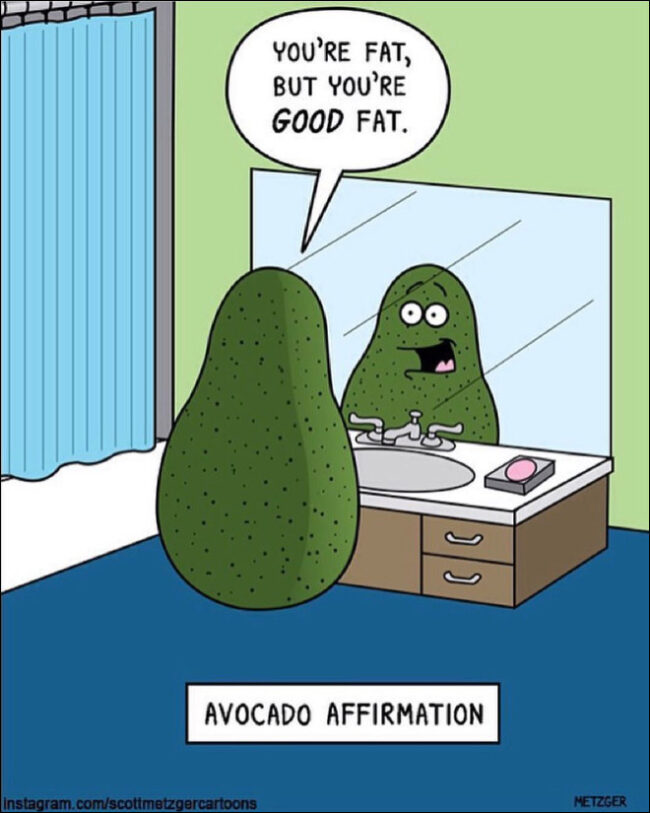 37 Funniest Single-Panel Comics About Cats And Other Silly Situations ...