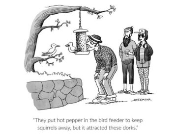 35 Funny Single-Panel Comics By New Yorker Cartoonist Joe Dator