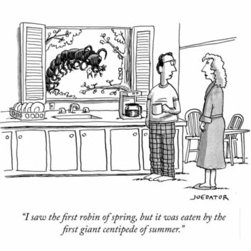 35 Funny Single-Panel Comics By New Yorker Cartoonist Joe Dator