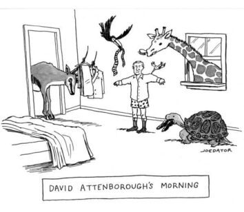 35 Funny Single-Panel Comics By New Yorker Cartoonist Joe Dator