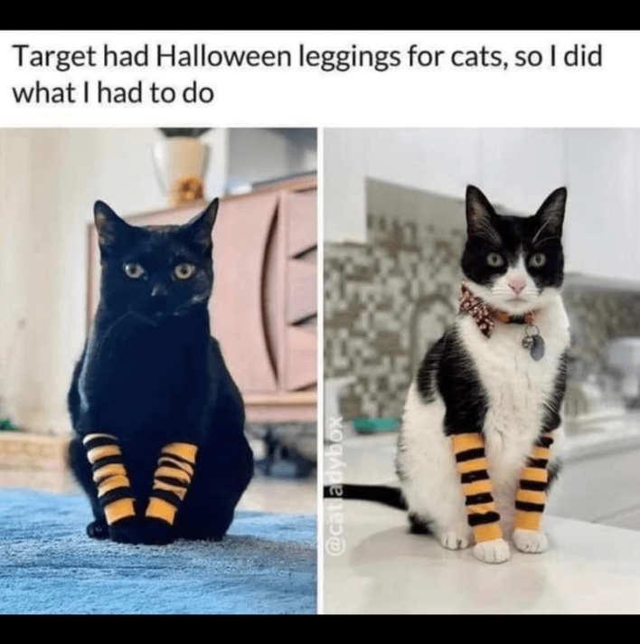 30+ Funny Spooky Memes In Celebration Of Halloween And The Fall Season