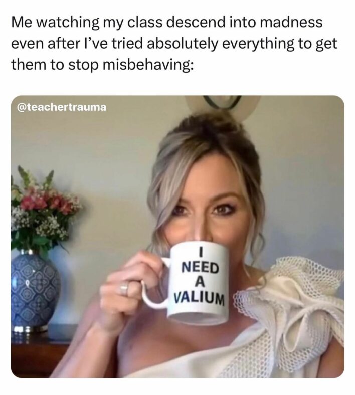 40 Funny "Teacher Trauma" Memes For Educators Who Aren't Sure They'll ...
