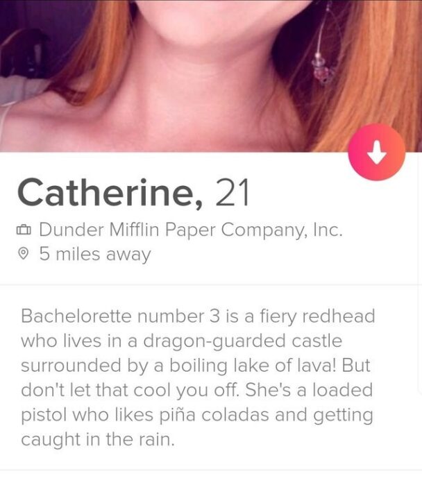 40 Hilarious Tinder Profiles That Prove If You Keep Swiping You'll Find ...