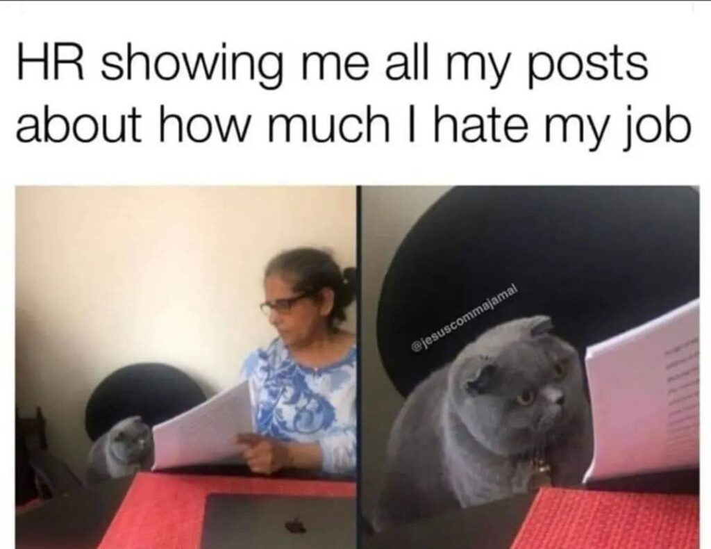 35+ Funny Work Memes To Send Co-Workers If You Don't Mind Getting ...