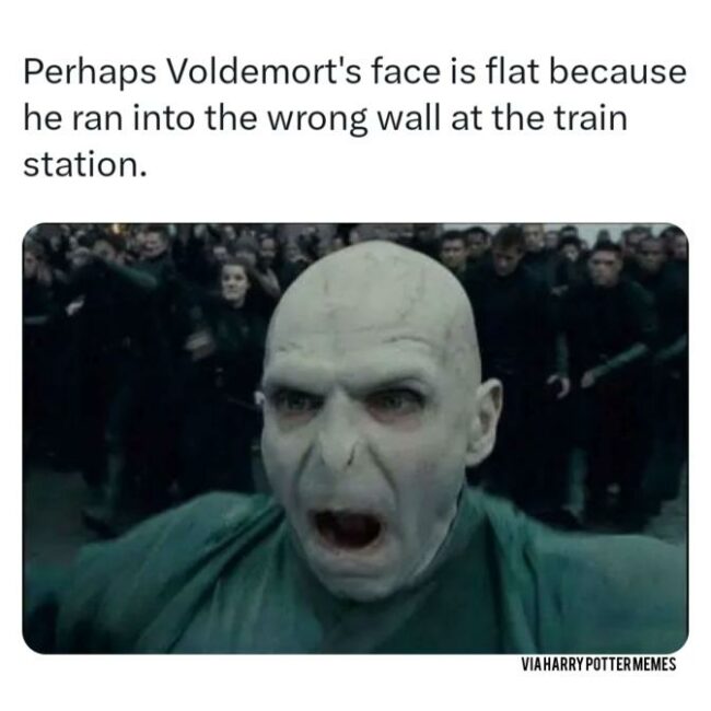 40 Magical Harry Potter Memes That'll Make You Say "Accio Laughter ...