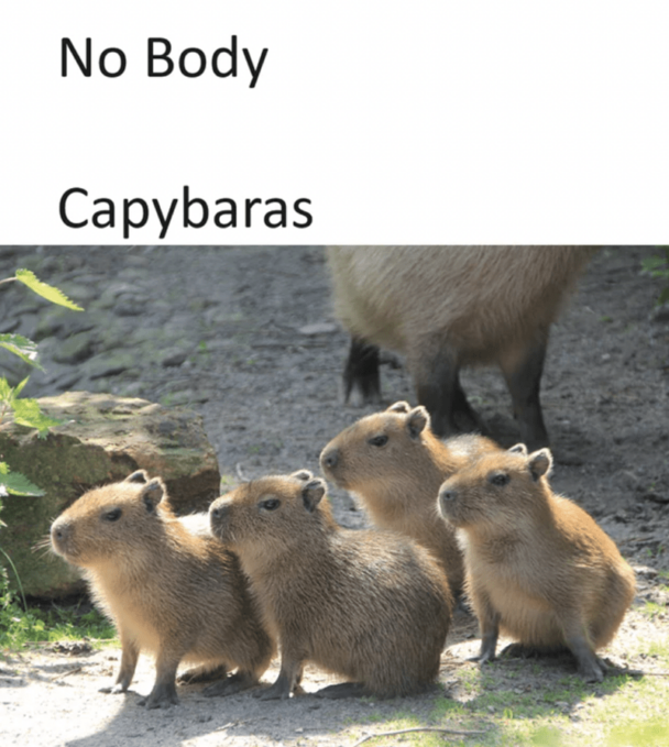 25 Hilarious Times People Used Meme Formats Wrong On Purpose