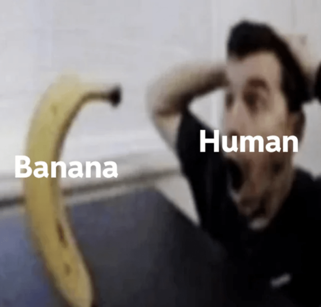 25 Hilarious Times People Used Meme Formats Wrong On Purpose